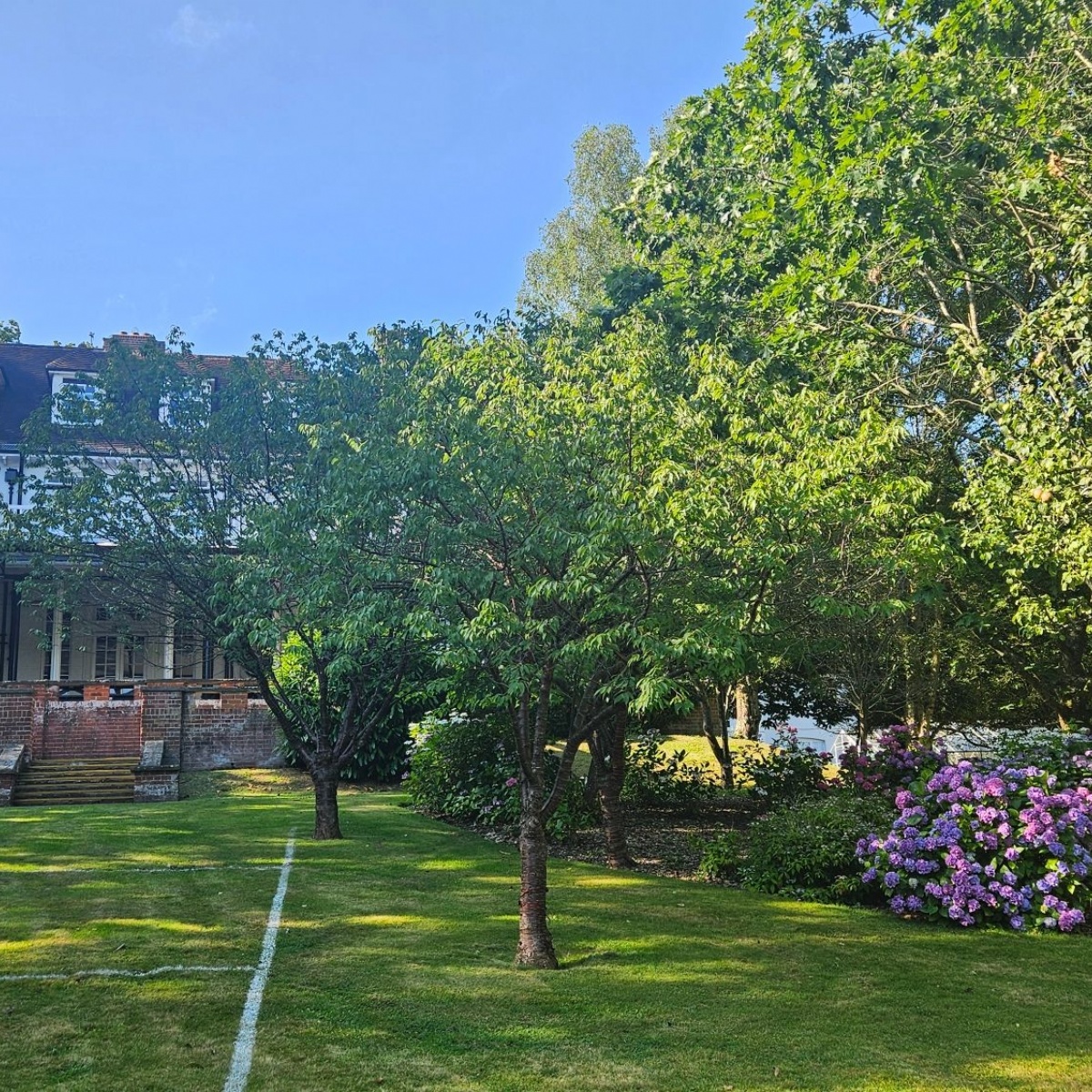 Heathermount School - Highlights of Term 6